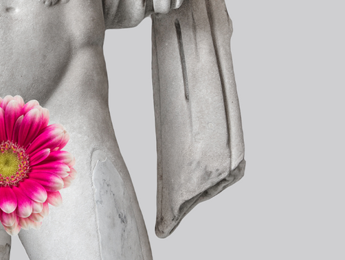 PRX Intima Perfexion Intimate Skin Treatments | WiQo US – WiQo® US, Inc.